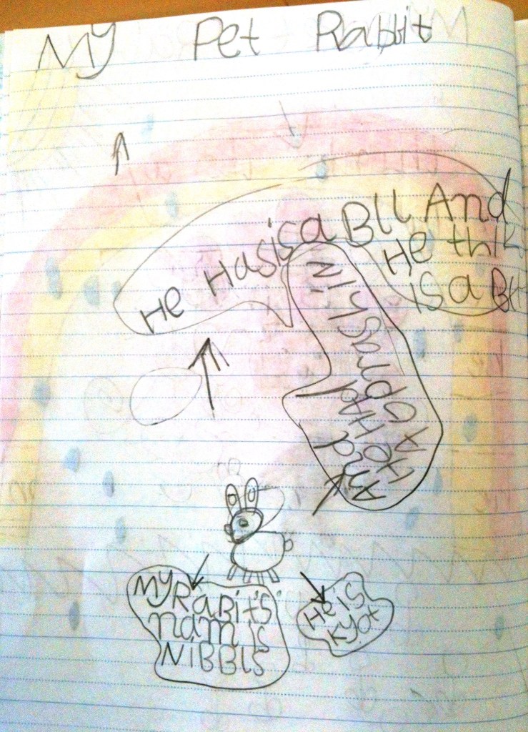 PM Writing Exemplars | Nina Davis: Teaching & Learning in Australia